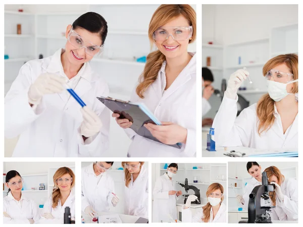 Collage of two female scientists doing experiments - Stock Image ...