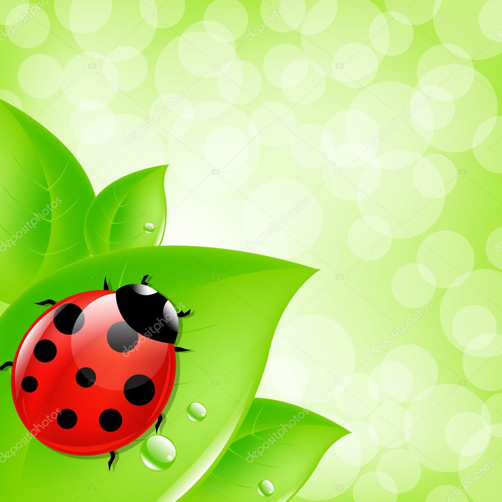 Ladybug On Leaf — Stock Vector © Ezhuravleva 10347620