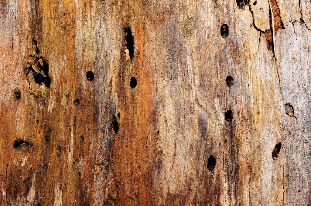 Old wooden texture. Stock Photo by ©R-studio 10021680