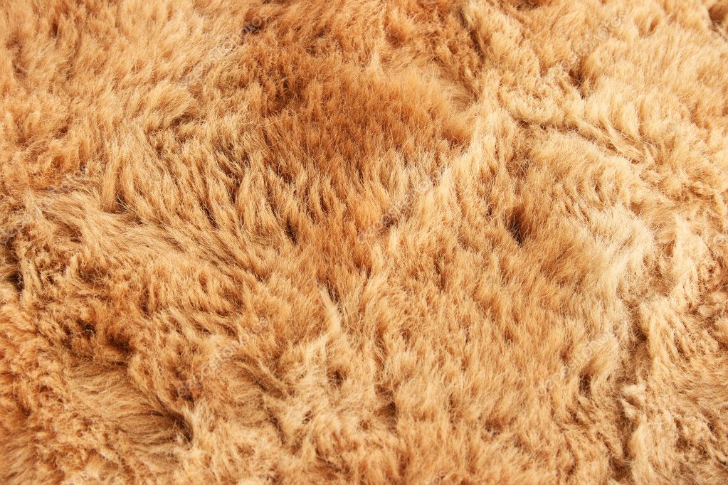 Fur background Stock Photo by ©ruzanna 10662206