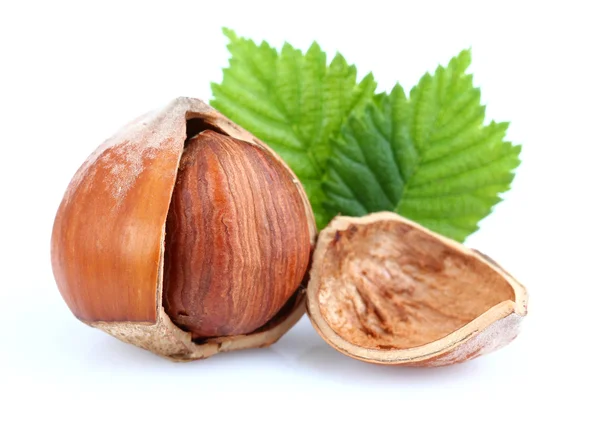 Cobnuts Stock Photos, Royalty Free Cobnuts Images | Depositphotos