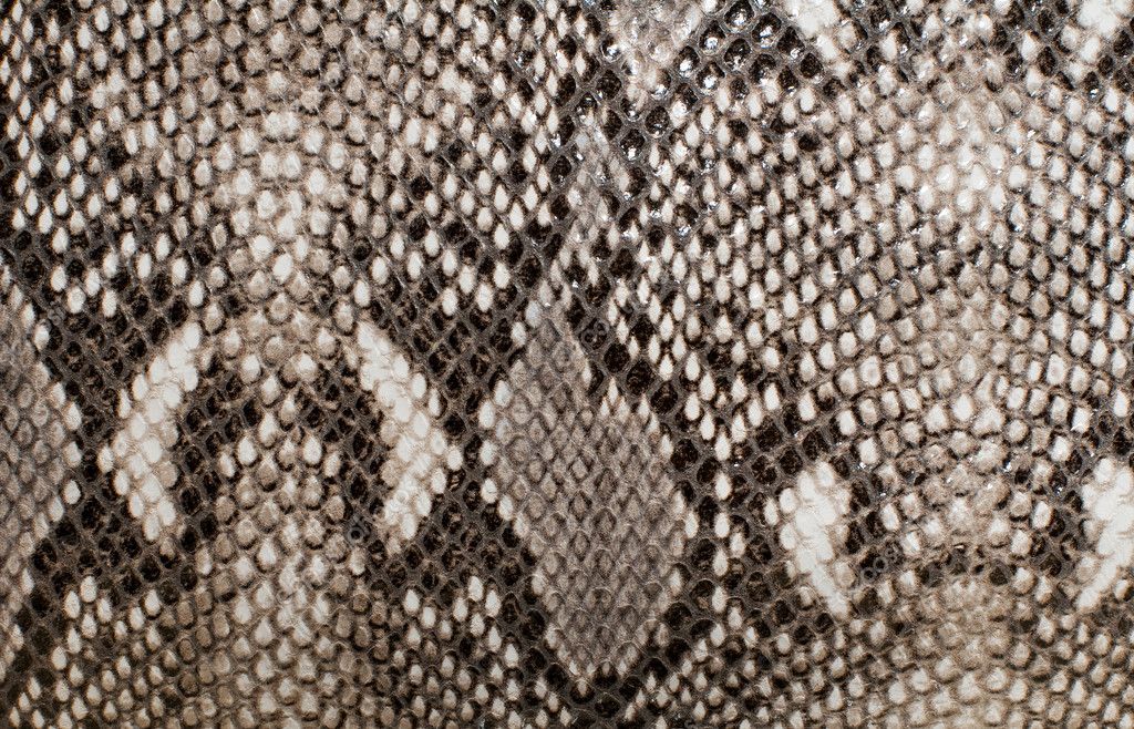 Textura de piel de serpiente: fotografía de stock © DNKSTUDIO #10074786 ...