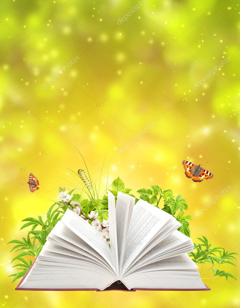 Book of nature — Stock Photo © frenta #9347603