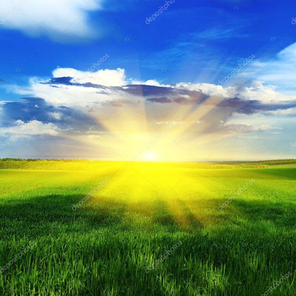 Sunrise Over Green Field