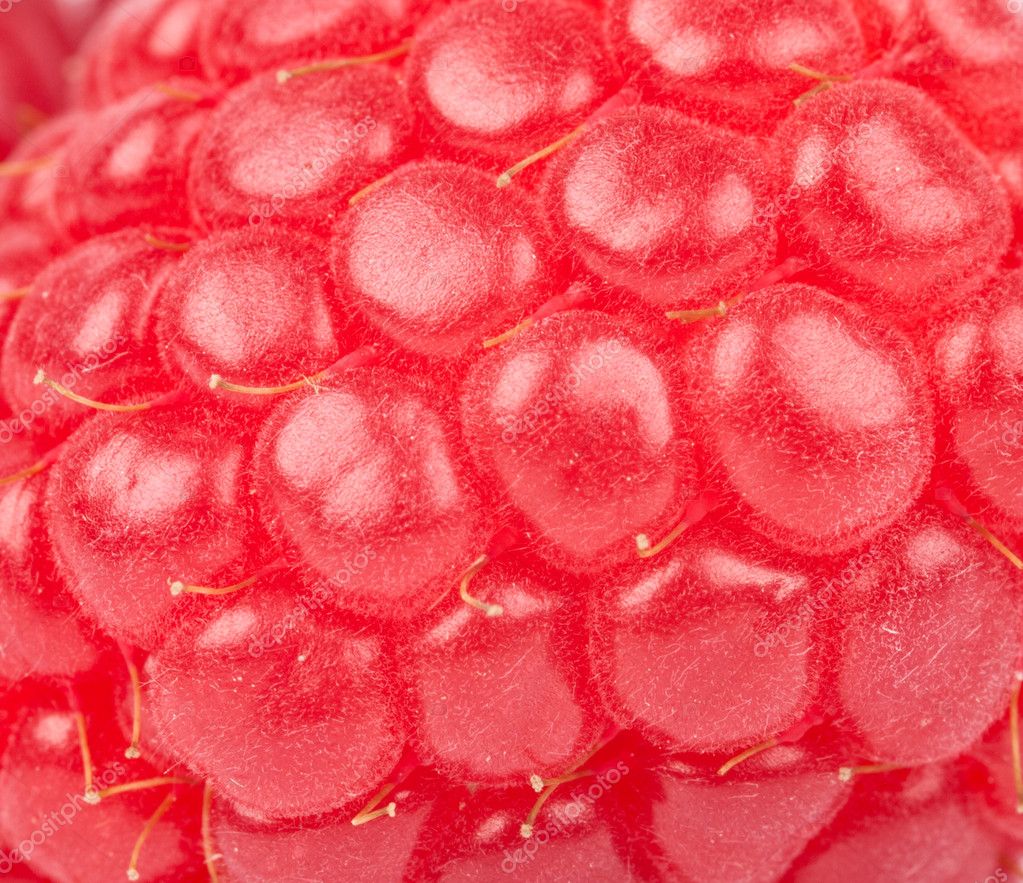 Raspberry. food background — Stock Photo © suslik83 #8472023