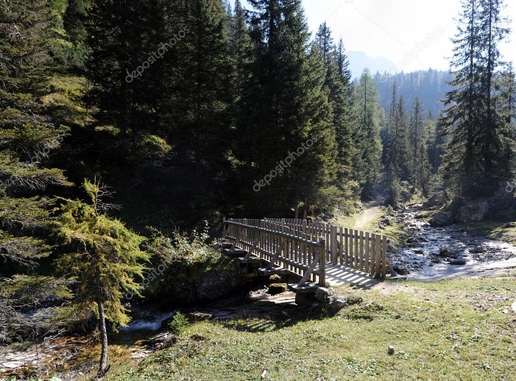 Bridge over the stream — Stock Photo © velkol #9362240