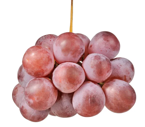 Bunch of Grapes — Stock Photo © Digifuture #1133401