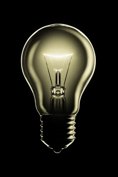 Light bulb in the dark — Stock Photo © Reshavskyi #5363314