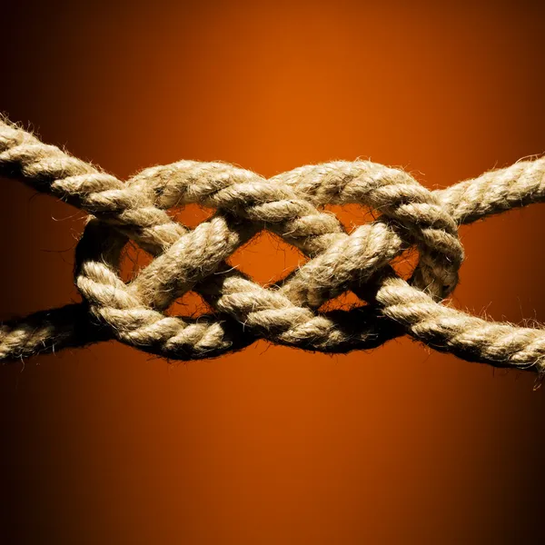 Tie the knot Pictures, Tie the knot Stock Photos & Images | Depositphotos®