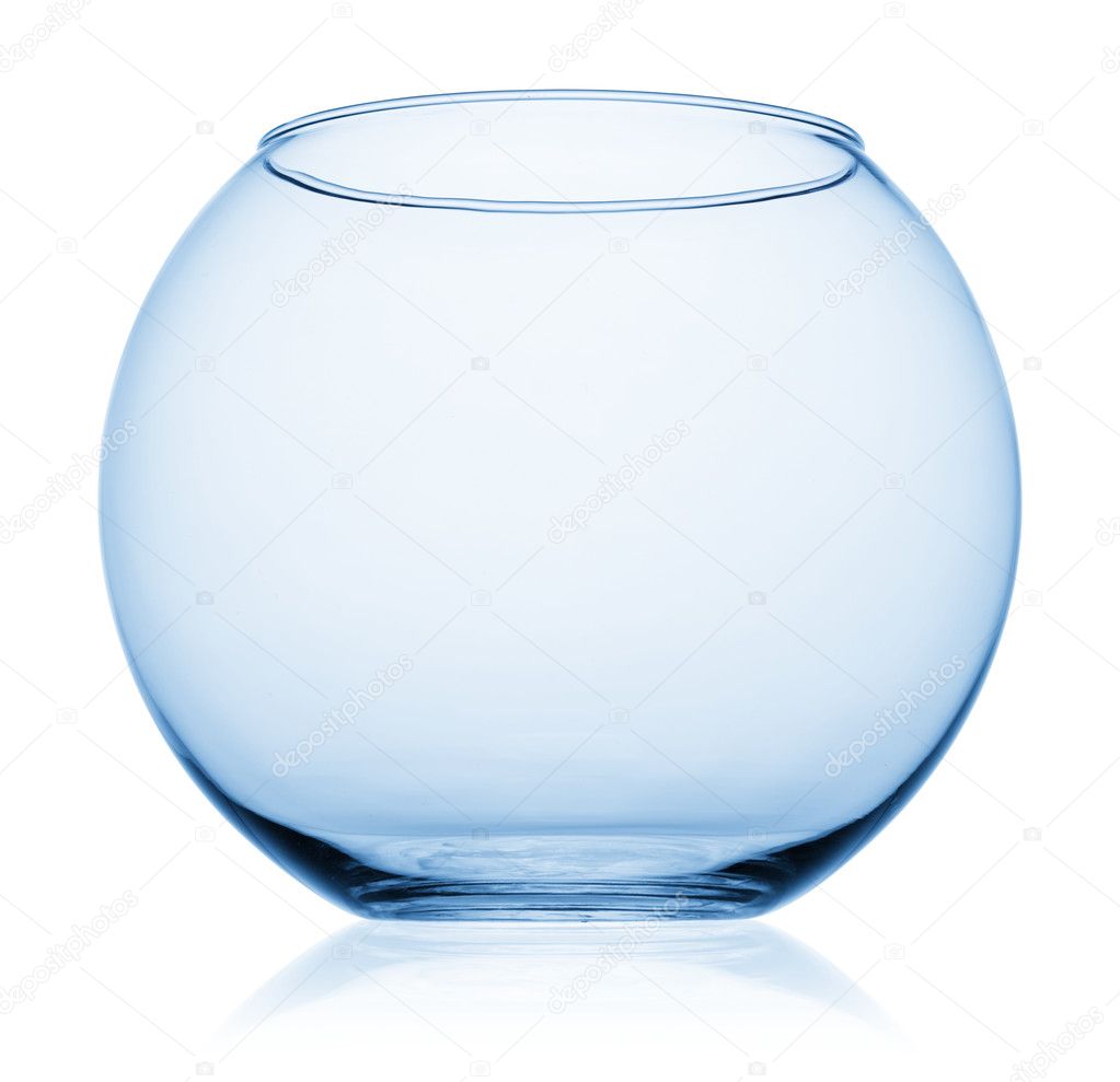 Close up view of fish bowl isolated — Stock Photo © Irochka #9600458