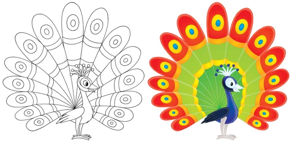 A bird of juno Stock Photos, Royalty Free A bird of juno Images ...