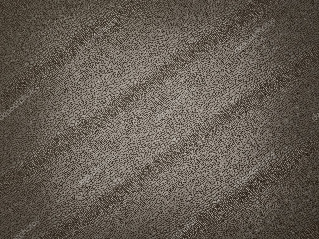 Alligator skin with stripes: useful as background or texture Stock ...