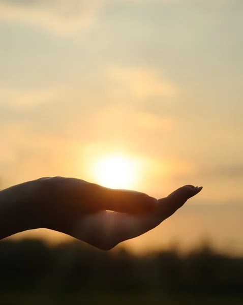 The sun in hand — Stock Photo © galdzer #10503587