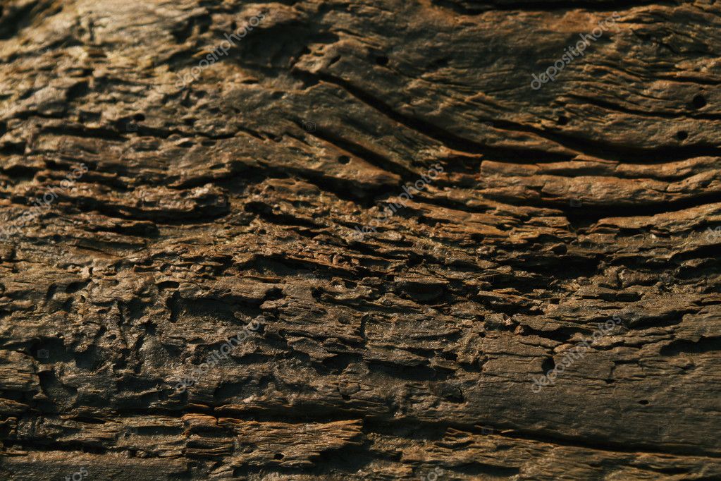 Rotten wood — Stock Photo © lemonpink #10107401