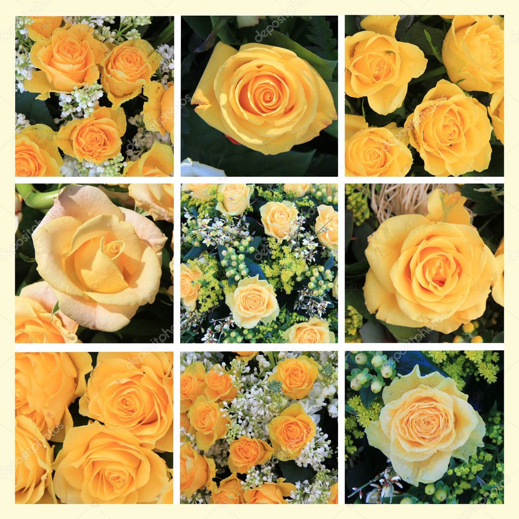 Yellow rose collage — Stock Photo © portosabbia #9979059