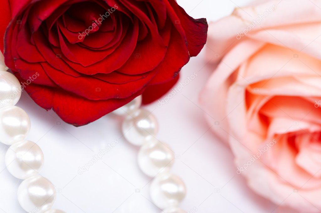 Rose pear Stock Photo by ©strelok 9891447