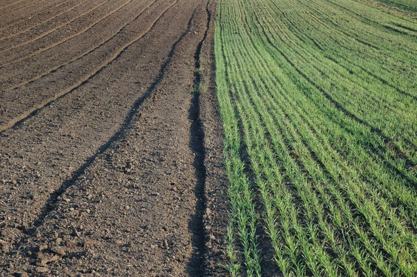 High contrast Stock Photos, Royalty Free High contrast Images ...