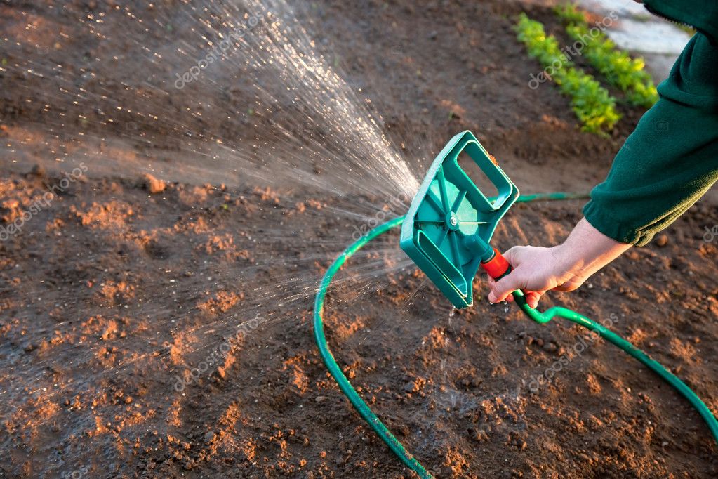 Man watering the ground Stock Photo by ©Photocreo 7991208