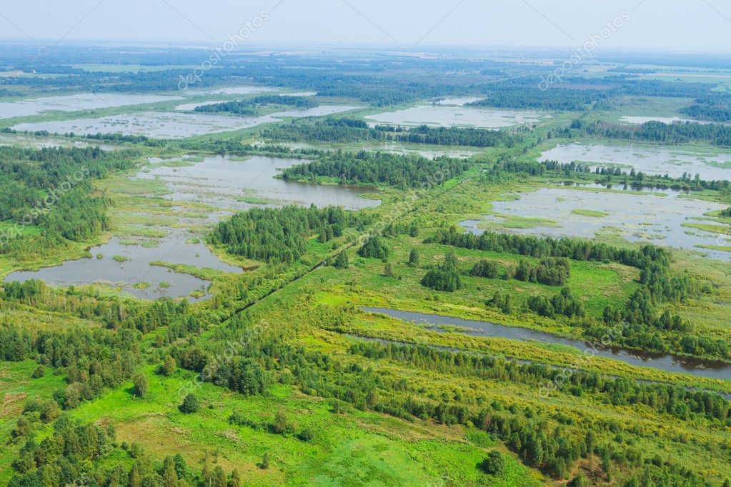 Wetland, top view Stock Photo by ©AlexAvich 8730655