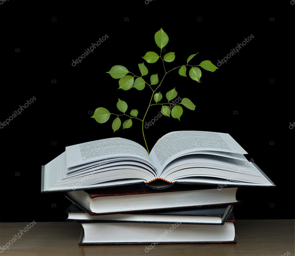 Tree growing from open book — Stock Photo © vaeenma #9709361