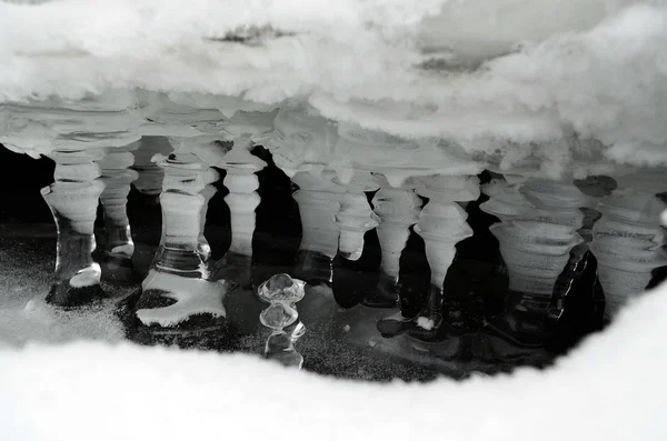 Ice horns Stock Photos, Royalty Free Ice horns Images | Depositphotos