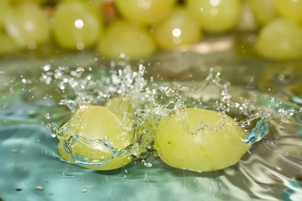 Freshness — Stock Photo © linfernum #1861086 Freshness — Stock Photo © linfernum #1861086
