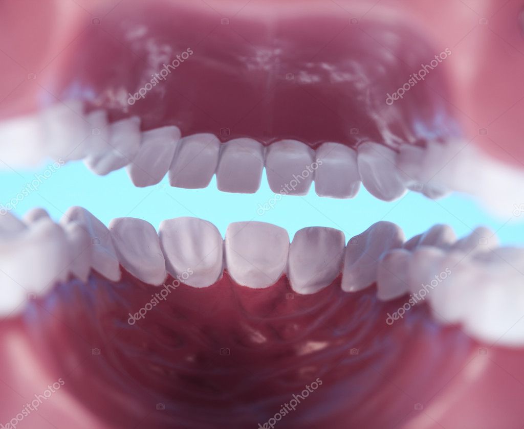 Teeth — Stock Photo © JanPietruszka #9916021