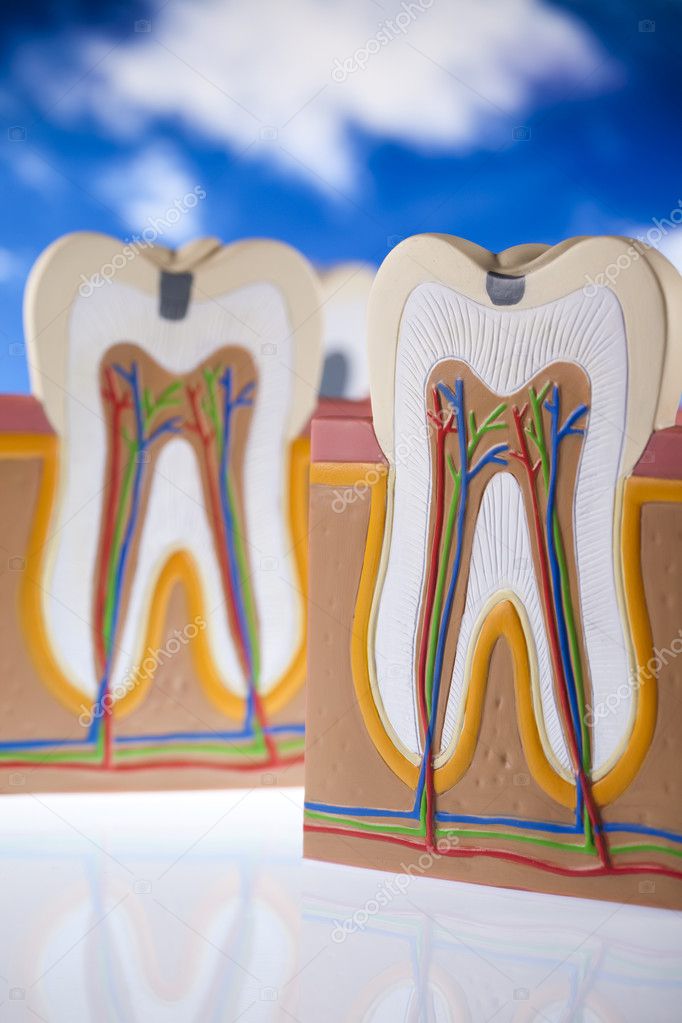 Tooth — Stock Photo © JanPietruszka #9916293