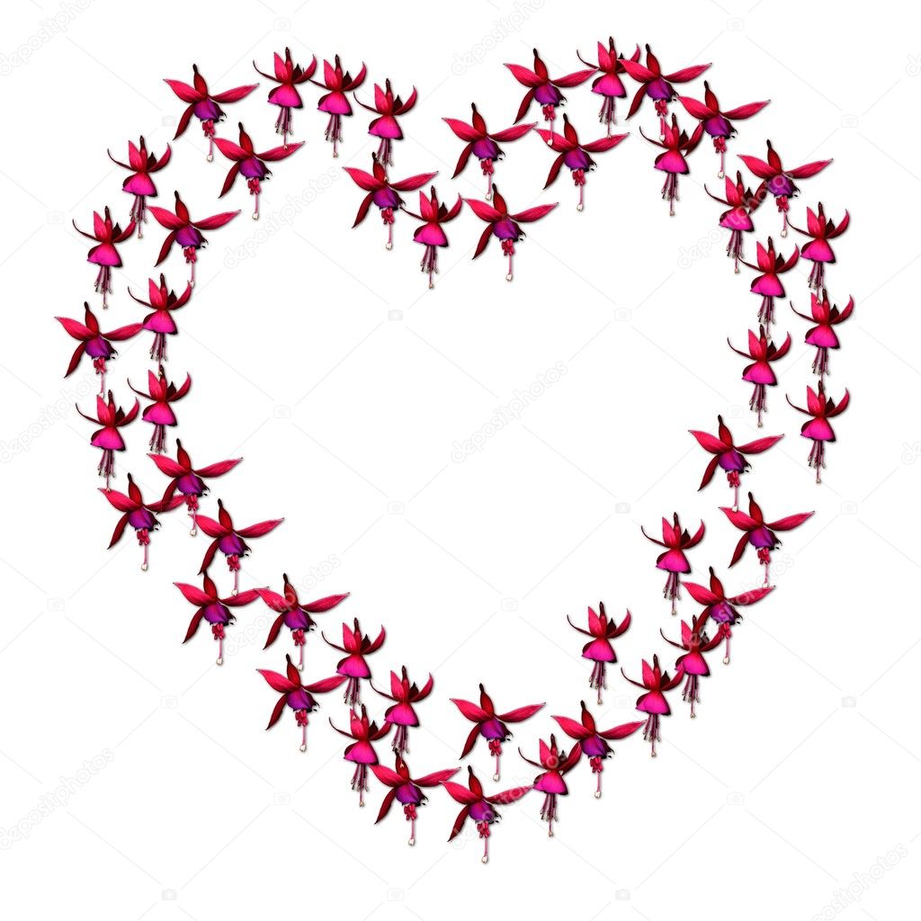 Border of pink fuchsia flowers in shape of heart — Stock Photo ...