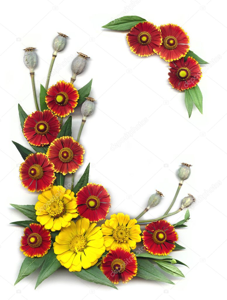 Decorative frame of bright red and yellow flowers — Stock Photo ...
