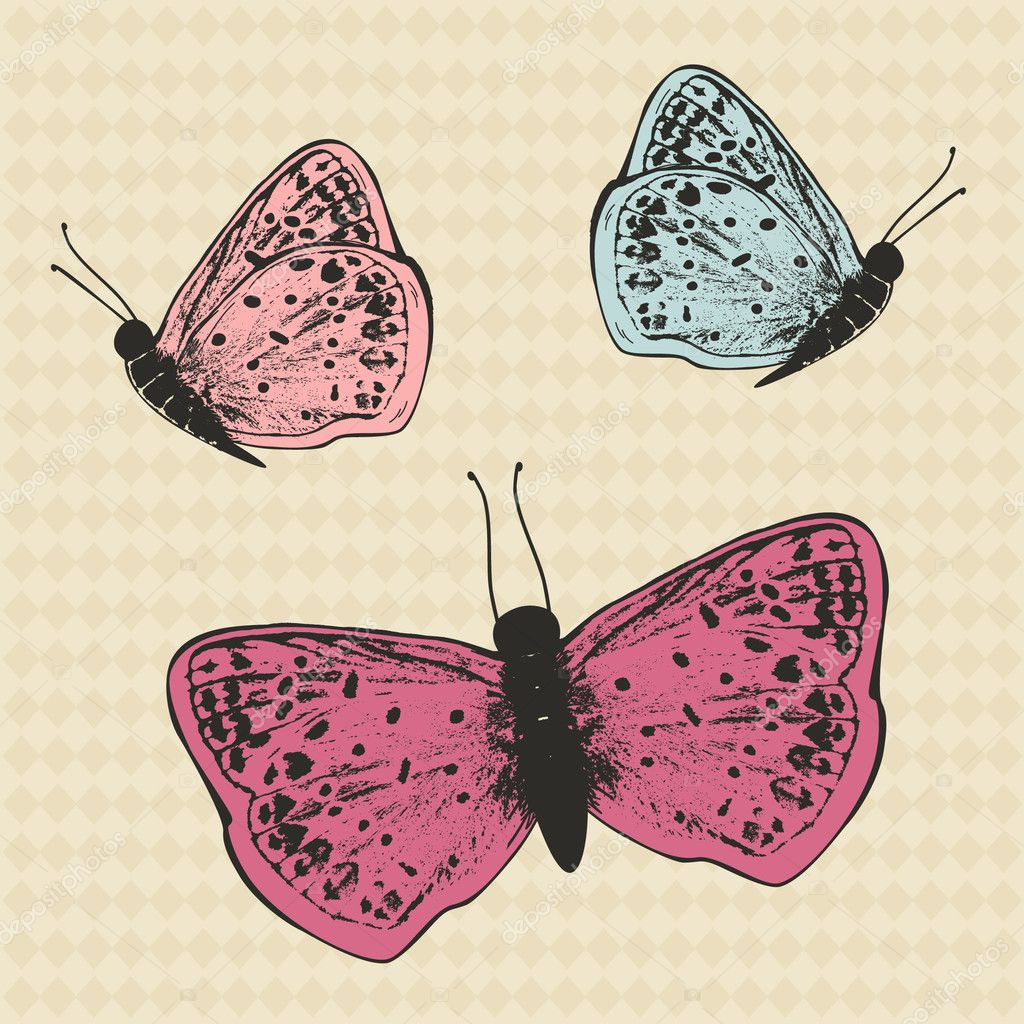 Set of hand drawn butterflies — Stock Vector © hollymolly #8531738