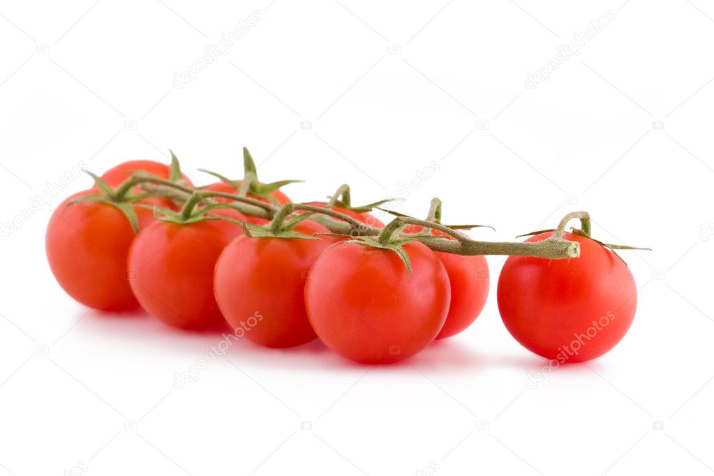 Pequeños tomates cóctel — Foto de stock #10264442 © Gbuglok