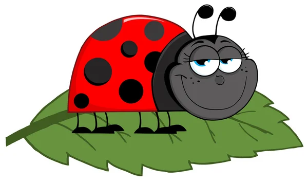 Friendly Ladybug — Stock Photo © HitToon #7276797