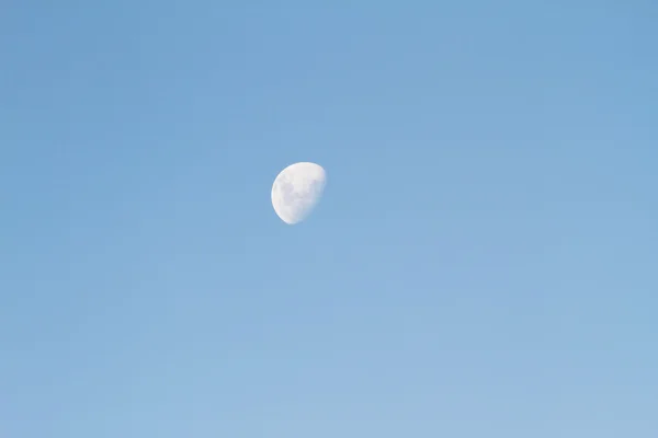 Dusky background Stock Photos, Royalty Free Dusky background Images ...