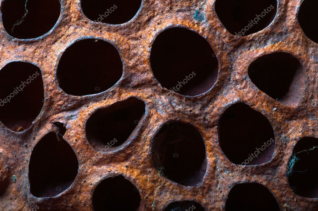 Creepy holes that look like caves for some horrible creatures — Stock ...