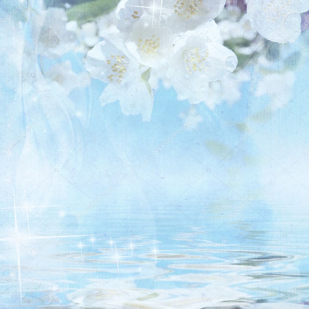 Delicate background for the photo book — Stock Photo © aelita #9639909