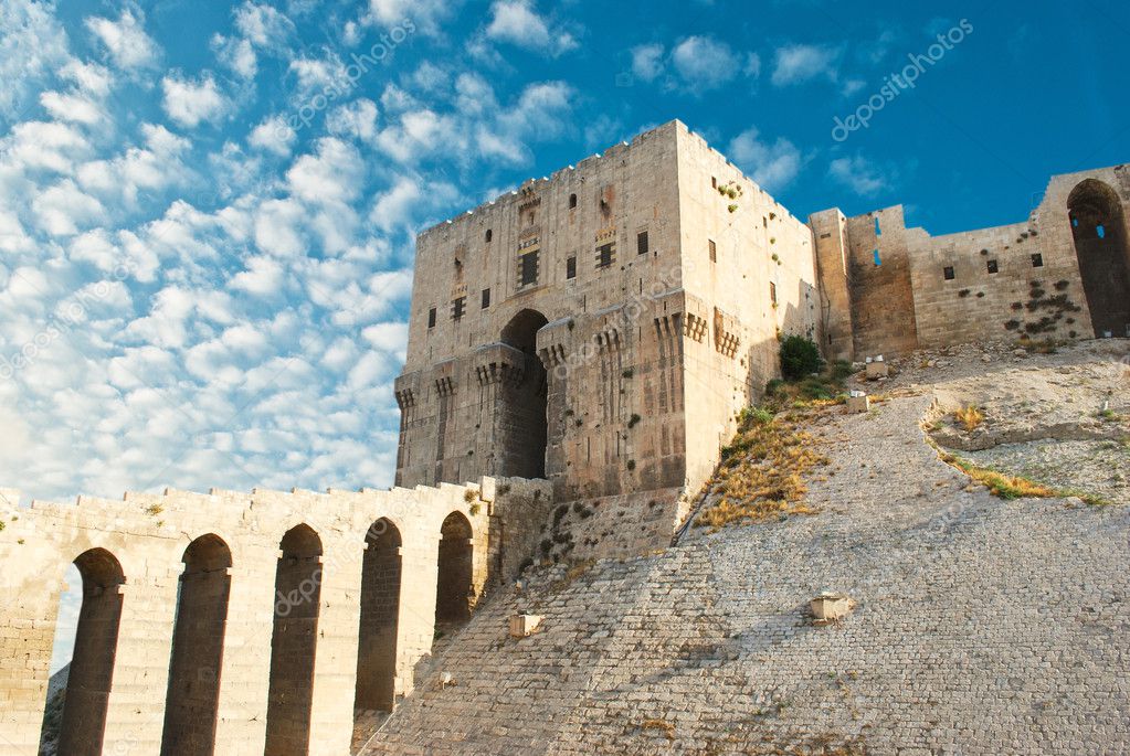 Kasteel van Aleppo in Syrië — Stockfoto © waj197 #8326067