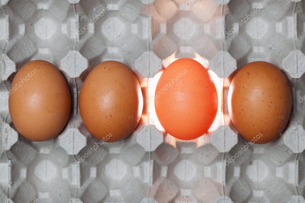 Different egg Stock Photo by ©nikkytok 10233367