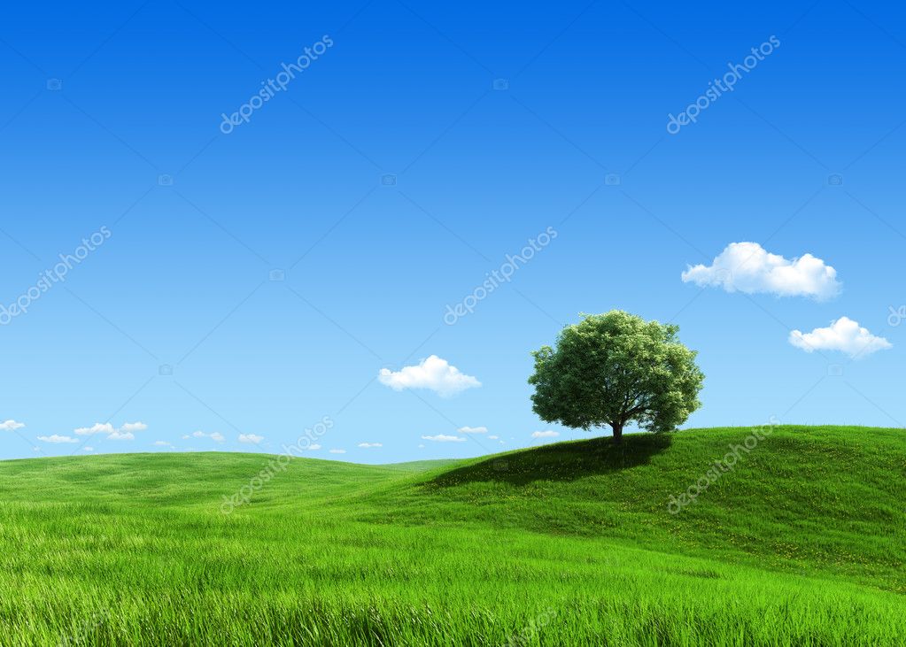 Nature collection - Green meadow 1 tree template — Stock Photo ...