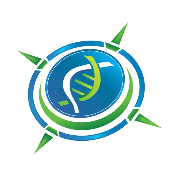 Compass isolated Stock Vectors, Royalty Free Compass isolated ...