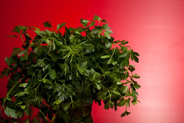 Red Background — Stock Photo © shopartgallery #17486139