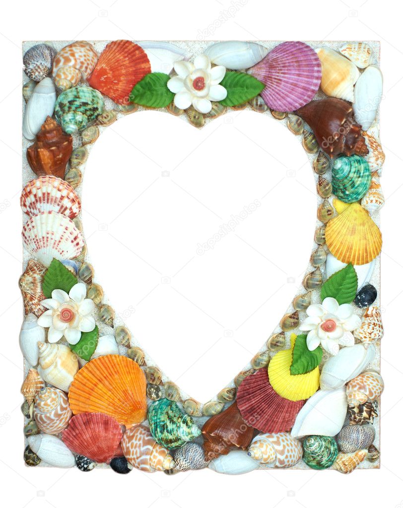 Shells Border Frame