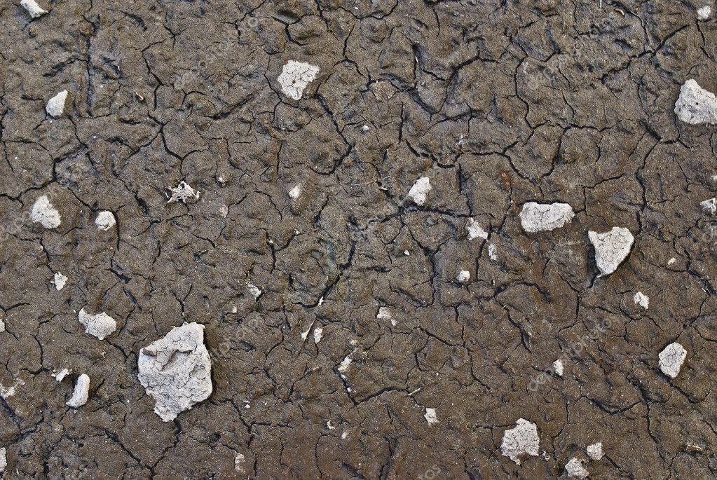 Abstract arid ground texture background Stock Photo by ©FlexDreams 10423887