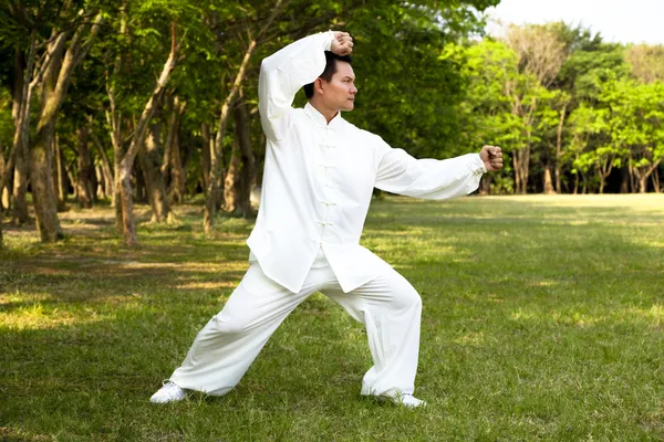 Kung fu position Stock Photos, Royalty Free Kung fu position Images ...