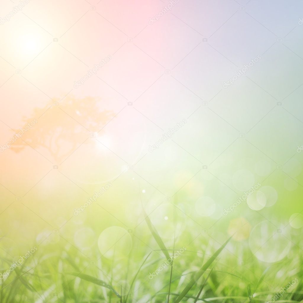 Spring or summer nature sunset background Stock Photo by ©mythja 8397406