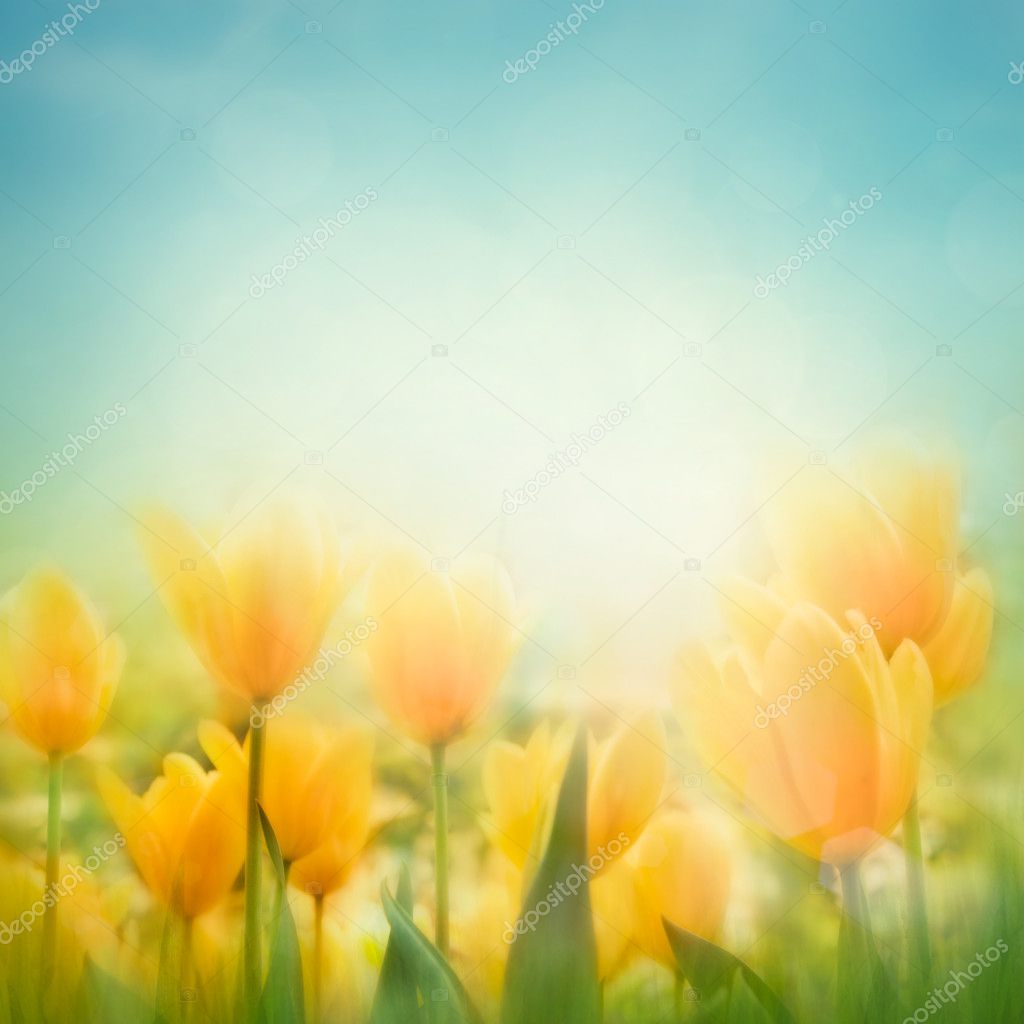 Spring Easter background — Stock Photo © mythja #9075881