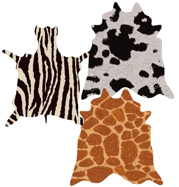 Animal skins Vector Art Stock Images | Depositphotos