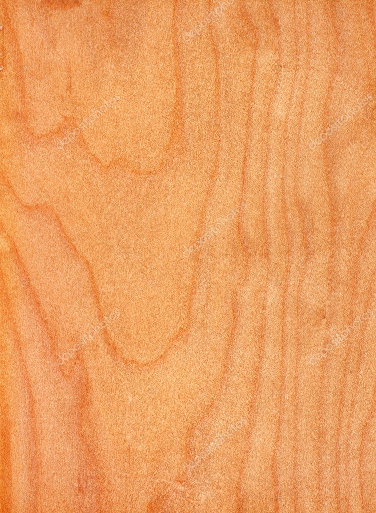 Birch (wood texture) Stock Photo by ©bambuh 9364047