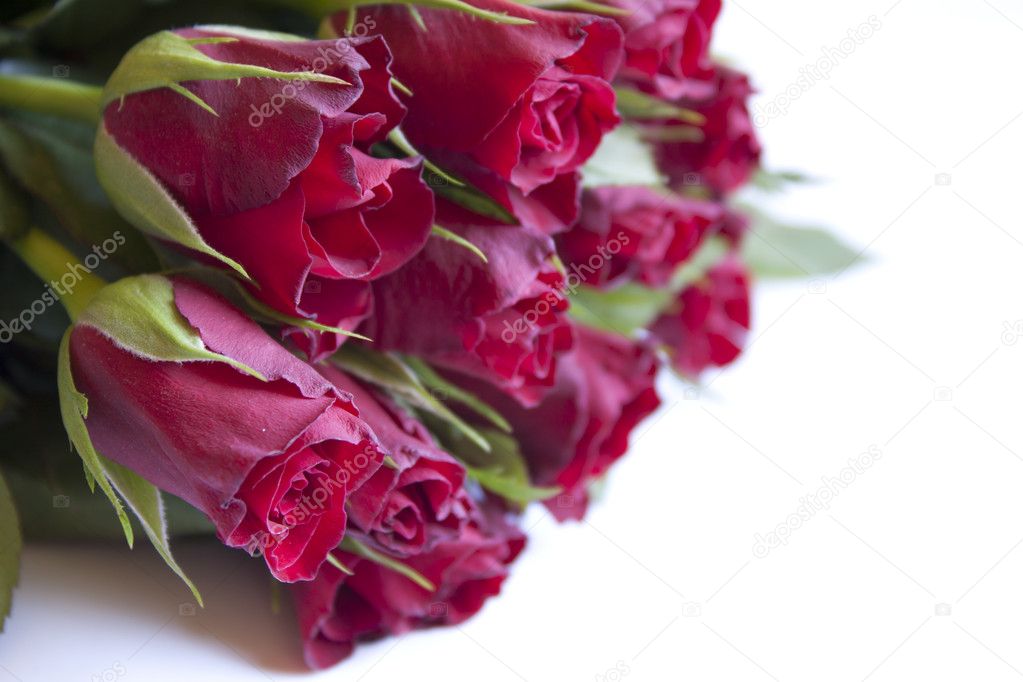 Red roses — Stock Photo © pavars #9412881