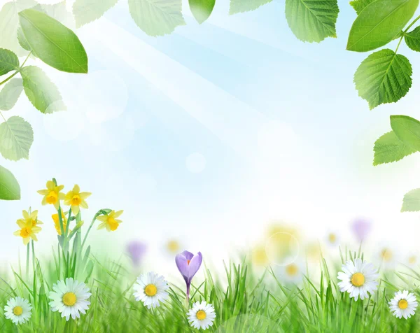 Beautiful spring background Stock Photo by ©Kesu01 9101257
